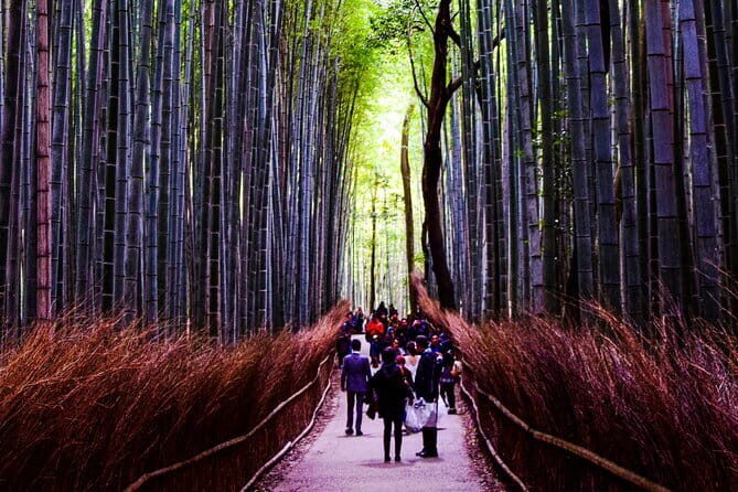 Osaka, Nara and Kyoto Day Trip with English Speaking Driver - Who Should Consider This Tour?