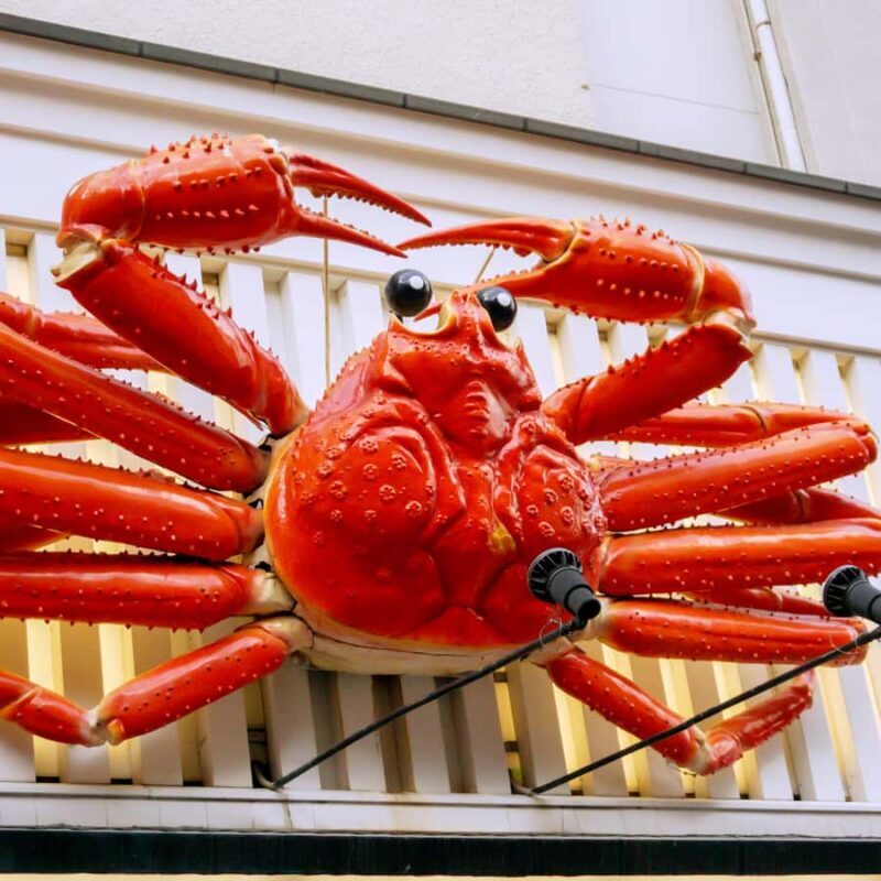 Osaka Nara and Kyoto: Osaka City Private Tour Adjustable - FAQs