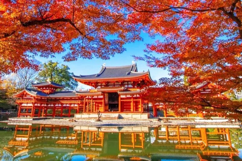 Osaka: Nara and Uji Day Trip with Deer Park and Hot Spring - Key Points