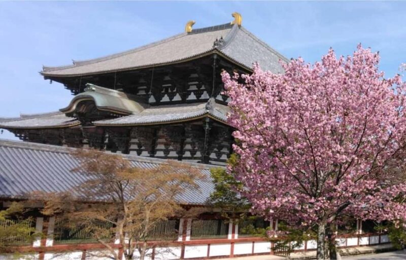 Osaka: Nara and Uji Day Trip with Deer Park and Hot Spring - An In-Depth Look at the Itinerary