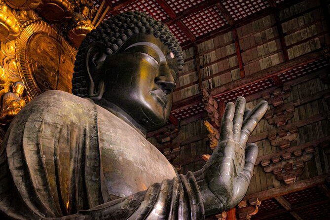 Osaka & Nara in 1-Day by Private Van with Local Japanese Guide - Introduction