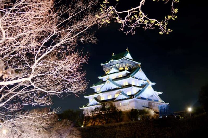 Osaka Nara & katsuo-ji: private Guided tour with Transport - FAQ: Your Practical Questions Answered