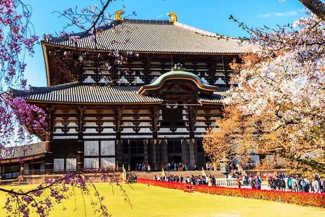 Osaka: Nara, Todaiji, Uji Matcha, and Hot Spring Tour - The Full Experience: A Deep Dive into the Tour