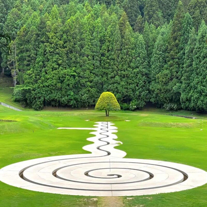 Osaka: Naras Hidden-gem Temples, Art Forest Day Tour - Key Points