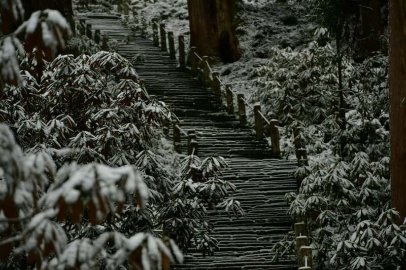 Osaka: Naras Hidden-gem Temples, Art Forest Day Tour - What to Expect from the Day Tour