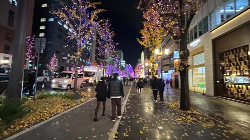 Osaka Night Tour: Hidden Alleys & Local Streets - Key Points