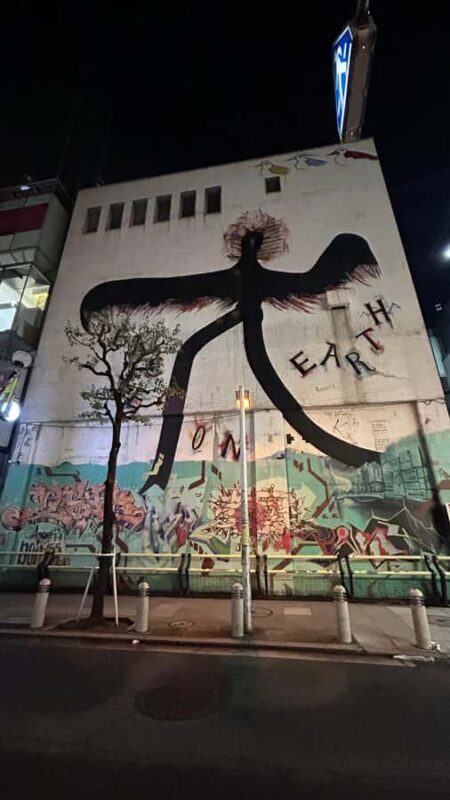 Osaka Night Tour: Hidden Alleys & Local Streets - Practical Details and Value