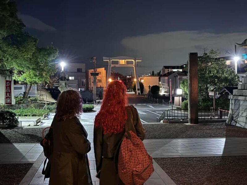 Osaka: Night view and Jinjya tour - Transportation & Group Dynamics