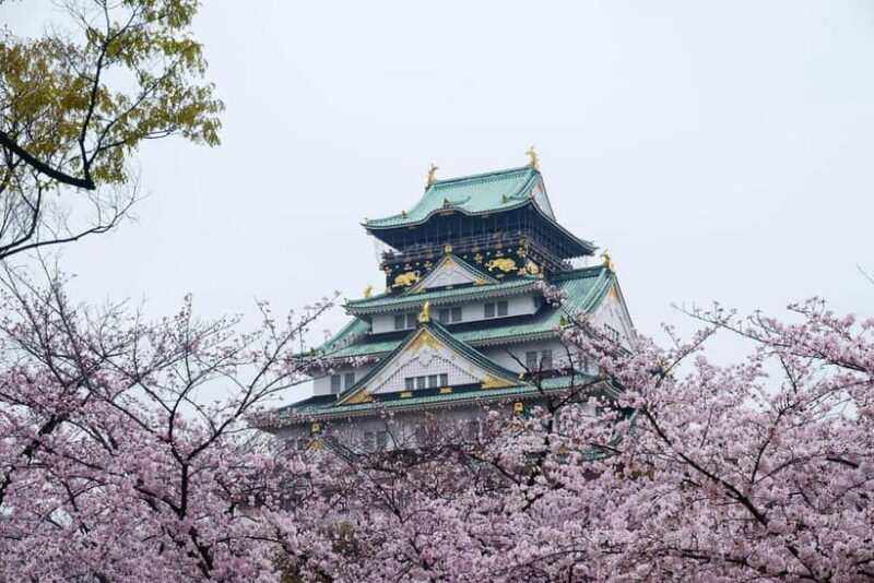 Osaka: Osaka Castle 3 hours Historical Walking Tour - Key Points