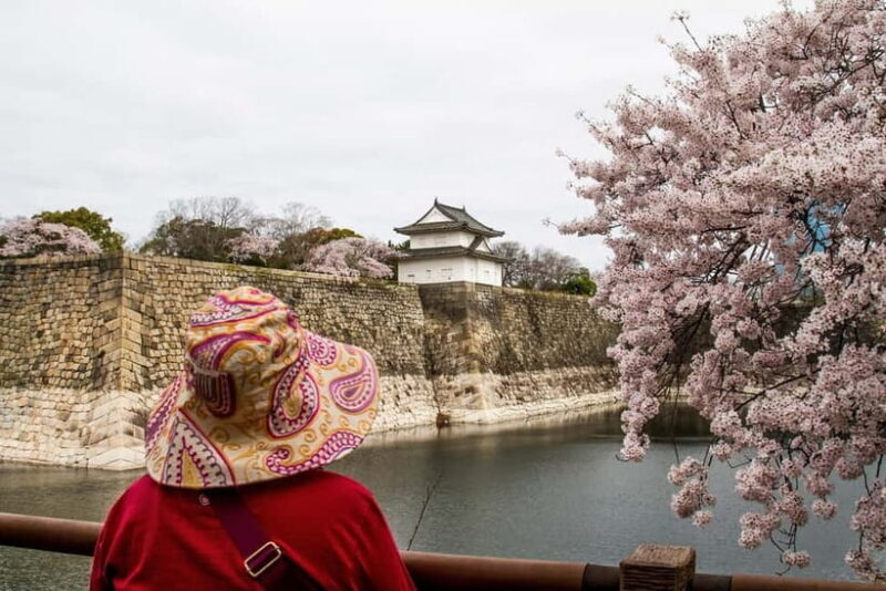 Osaka: Osaka Castle 3 hours Historical Walking Tour - A Deep Dive into the Osaka Castle Walking Tour