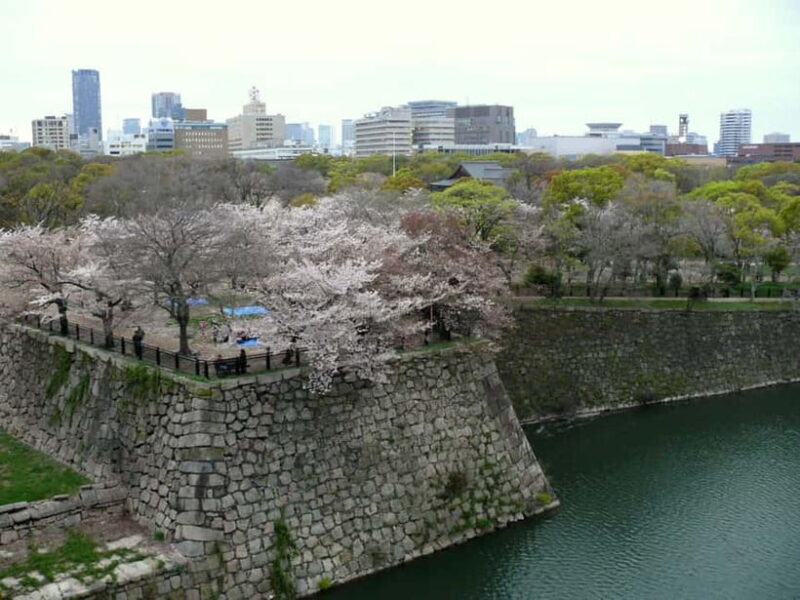 Osaka: Osaka Castle 3 hours Historical Walking Tour - Final Thoughts