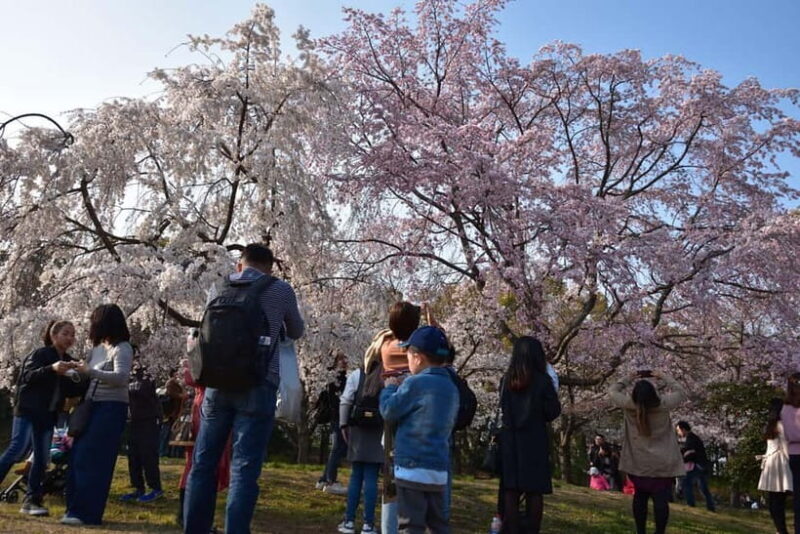 Osaka: Osaka Castle 3 hours Historical Walking Tour - FAQ