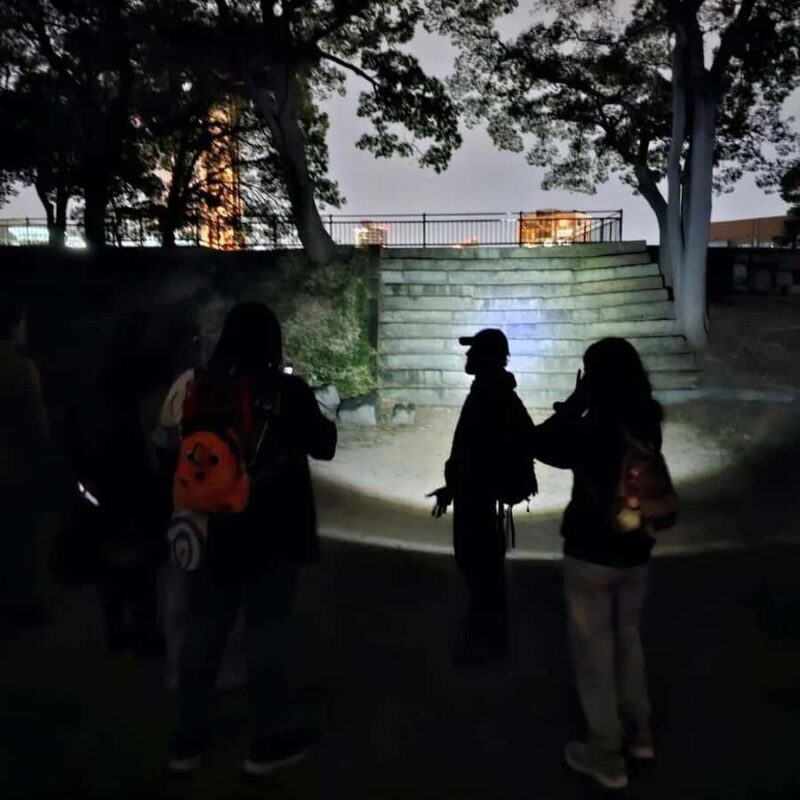 Osaka: Osaka Castle Haunted Night Walk - Key Points