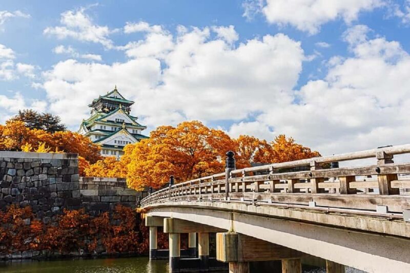 Osaka: Osaka Castle & Samurai History Walking Tour - Who is this tour best suited for?