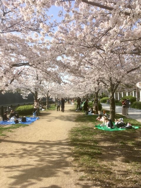 Osaka: Private and Fully Customized Tour with Hotel Meet Up - What You Can Expect from the Tour