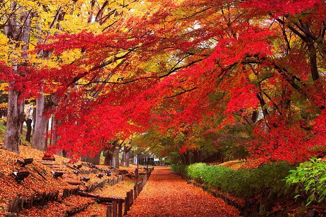 Osaka Private Charter Tour Miyama & Amanohashidate & Uji Routes - Final Thoughts