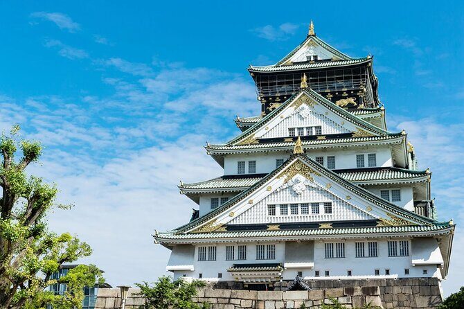 Osaka Private Custom Tour: Landmarks, Street Food & Hidden Alleys - Practical Details and Value