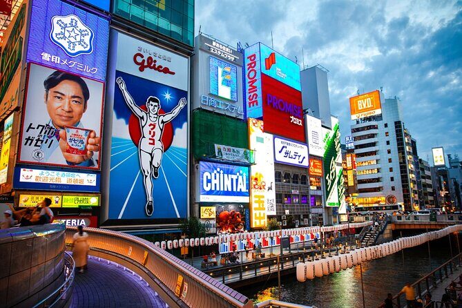 Osaka Private Custom Tour: Landmarks, Street Food & Hidden Alleys - Who Will Love This Tour