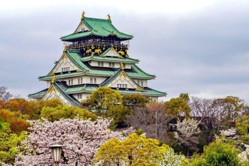 Osaka: Private Custom Walking Tour with a Local Guide - Who Will Benefit Most?