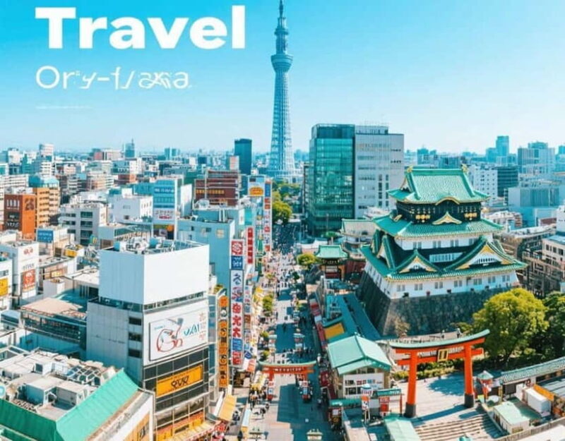 Osaka: Private Customizable Day Tour with Hotel Transfer - Who Will Love This Tour?