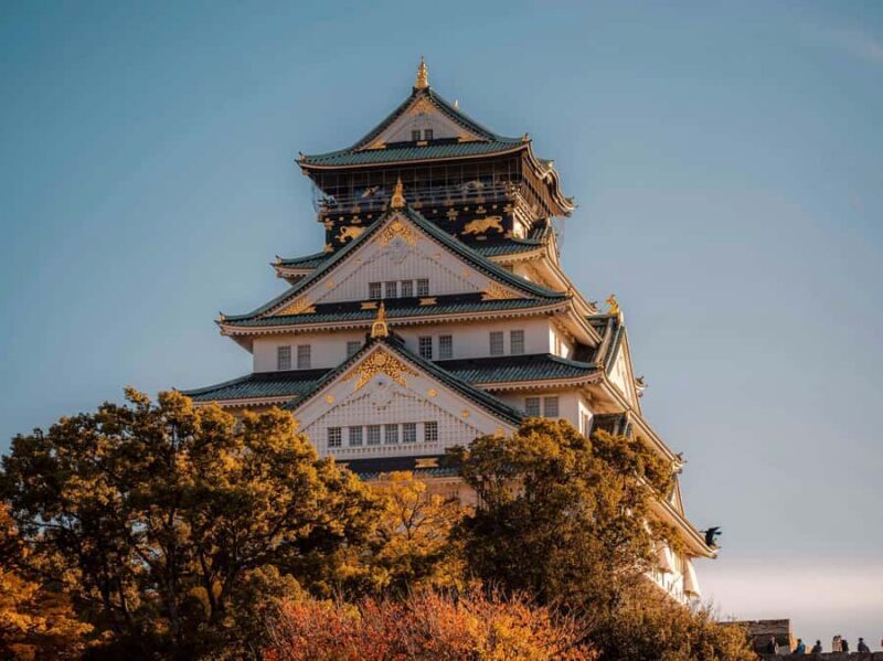 Osaka Private Experience Sushi Making & City Food Tour - An In-Depth Look at the Experience