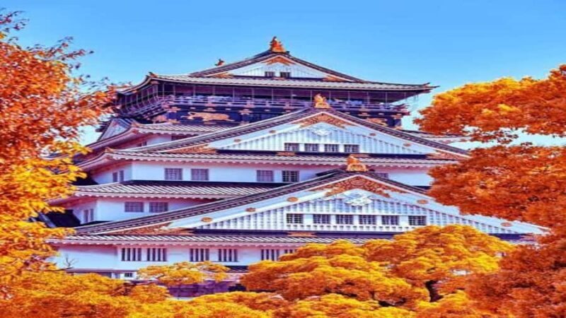 Osaka: Private Guided Tour with Customizable Itinerary - Why Consider This Tour?