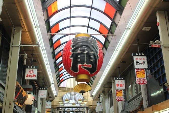 Osaka Private Tour by Public Transportation - A Deep Dive into the Osaka Private Tour Experience