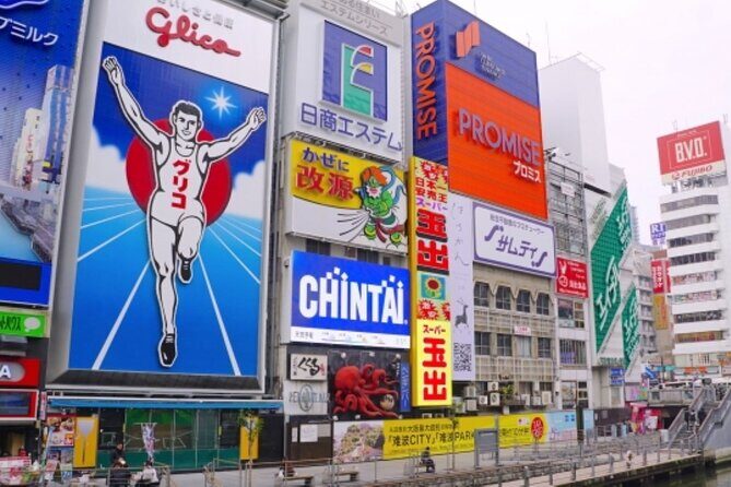 Osaka Private Tour for Shore Excursion - Key Points