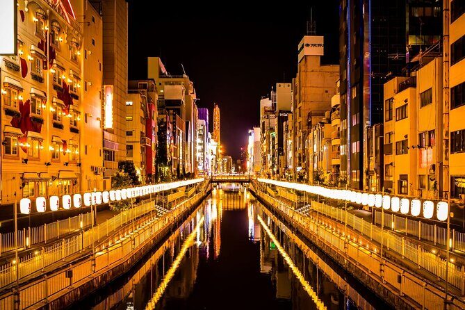 Osaka Private Tour for Shore Excursion - An In-Depth Look at the Tour Itinerary