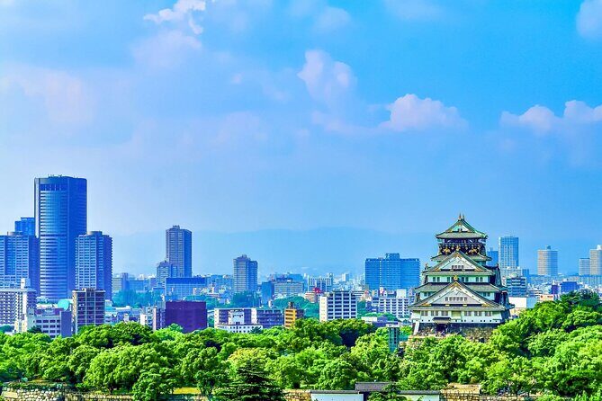 Osaka Private Tour for Shore Excursion - Who Will Love This Tour?