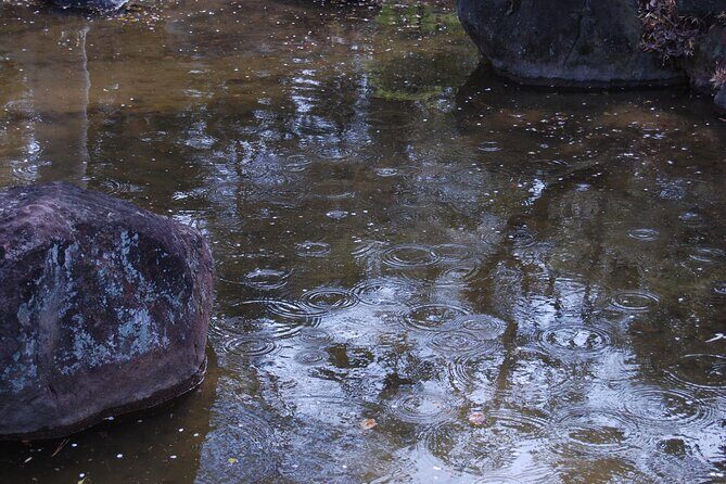 Osaka Private Tour of Shitennoji, Osakas Oldest Temple - Who Should Consider This Tour?