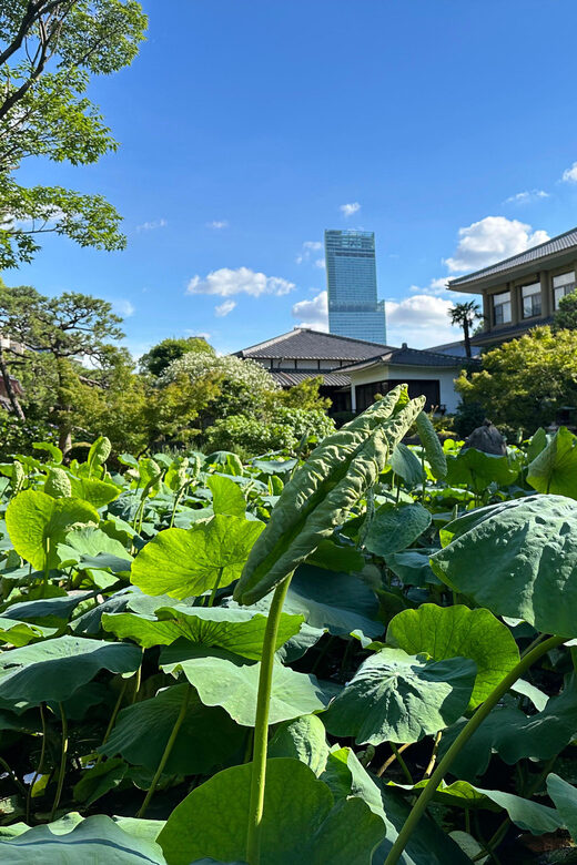Osaka: Private Tour of Shitennoji, Osaka's Oldest Temple - Final Thoughts