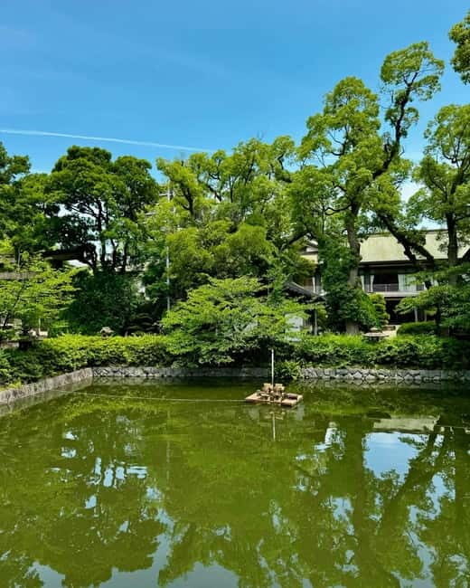 Osaka: Private Tour with English speaking Guide and pickup - Exploring Osaka with a Personal Touch