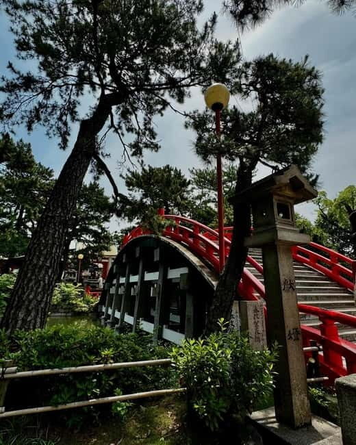 Osaka: Private Tour with English speaking Guide and pickup - The Experience from Reviews