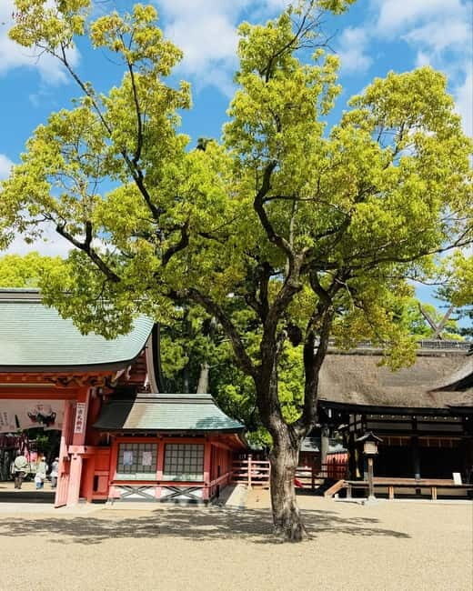 Osaka: Private Tour with English speaking Guide and pickup - The Sum Up: Who Will Get the Most from This Tour?