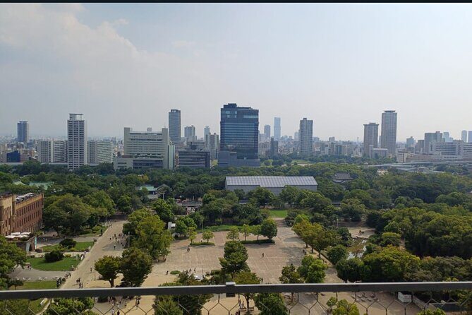 Osaka Private Tour with Guide in Spanish - Exploring Osaka’s Highlights: A Detailed Review