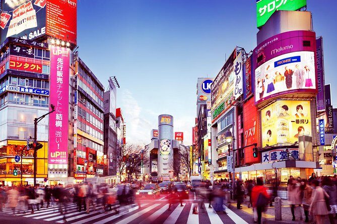 Osaka Private Transfer from Kansai International Airport (KIX) to central Osaka - What to Expect from Your Private Transfer