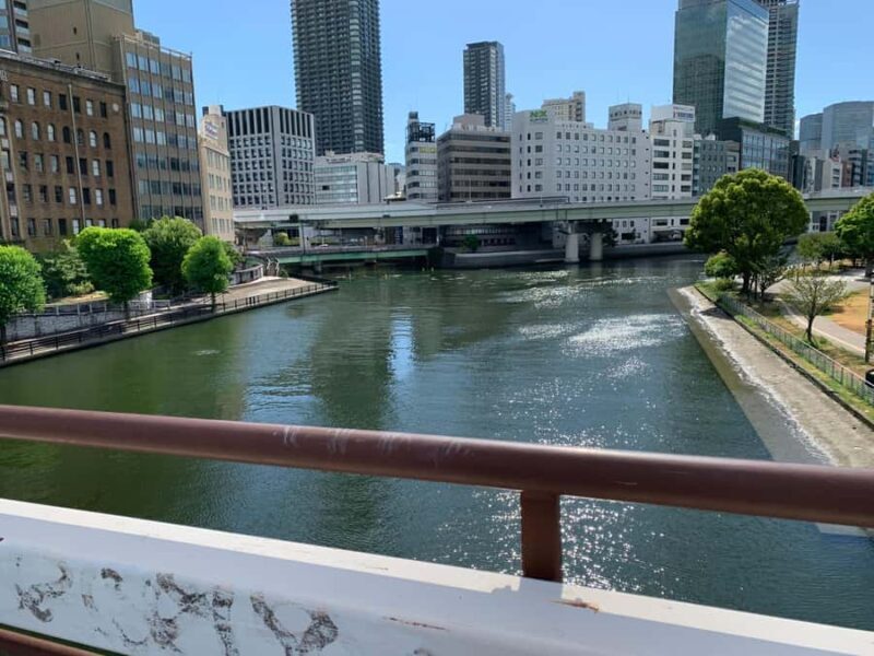 Osaka: Private Walking Tour with a Spanish-Speaking Guide - Why Choose a Private Tour in Osaka?