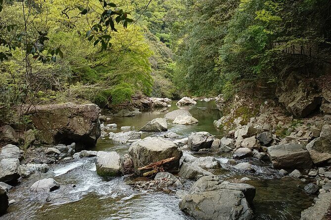 Osaka River Rapids Hike and Natural Hot Spring tour - Why the Price Offers Good Value