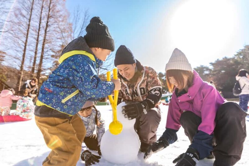 Osaka: Rokko Snow Park Winter Ski Day Tour optional lesson - Key Points