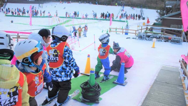 Osaka: Rokko Snow Park Winter Ski Day Tour optional lesson - A Practical Overview of the Tour Experience