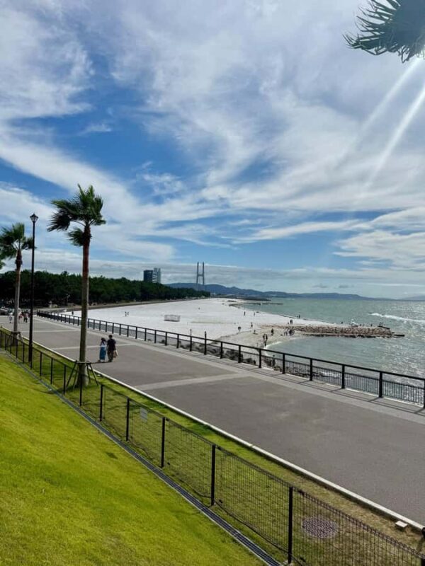 Osaka South Day Trip: History, Seafood, Shopping & Sweets - An In-Depth Look at the Itinerary