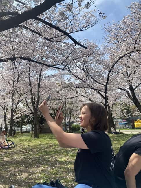 Osaka: Springtime Sakura Picnic "Hanami" - An In-Depth Look at the Sakura Picnic Experience