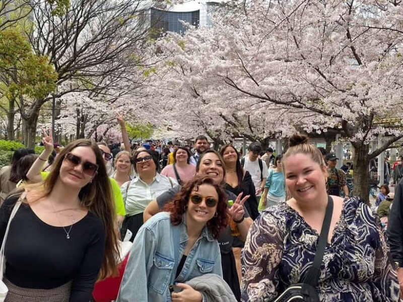 Osaka: Springtime Sakura Picnic "Hanami" - The Sum Up