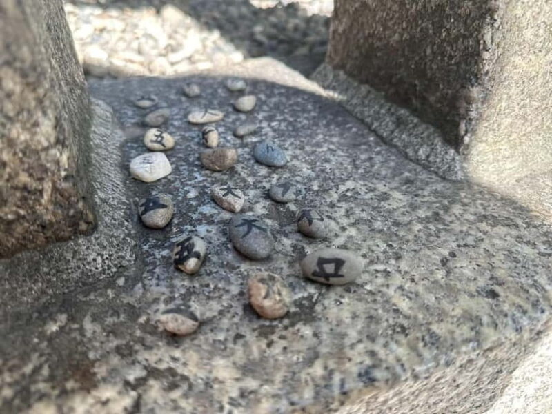 Osaka: Sumiyoshi, Osaka's Most Iconic Shrine - Private Tour - Who Should Consider This Tour?