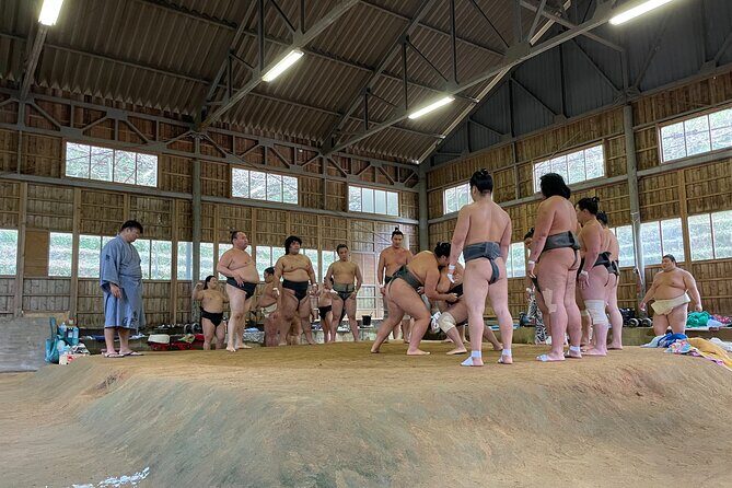 Osaka Sumo Morning Practice Watching Experience - Why This Tour Is Worth Considering