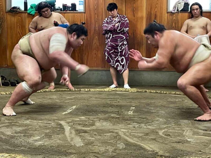 Osaka: Sumo Wrestling Real Practice Viewing Guided Tour - Key Points