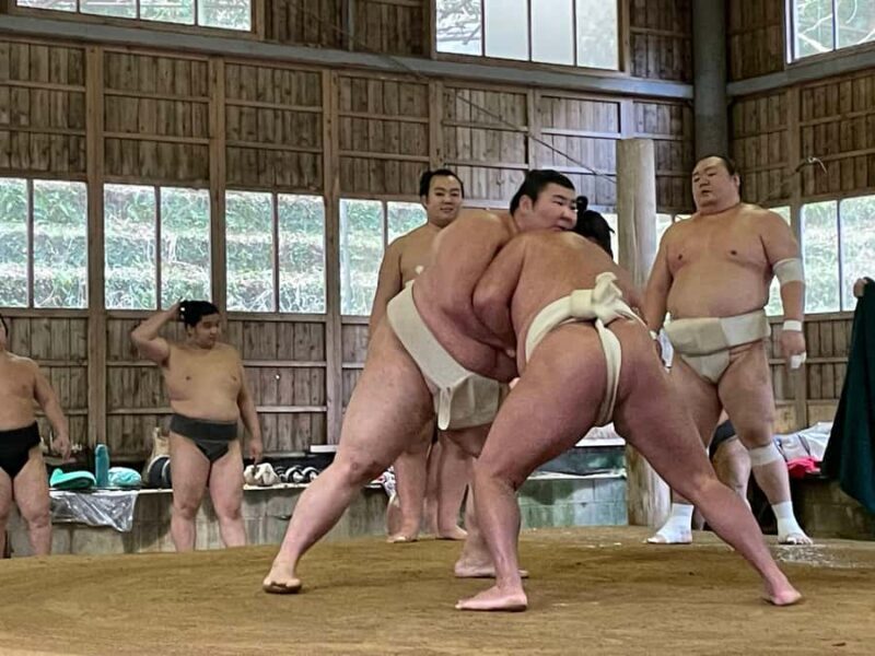 Osaka: Sumo Wrestling Real Practice Viewing Guided Tour - Price, Duration, and Practical Considerations