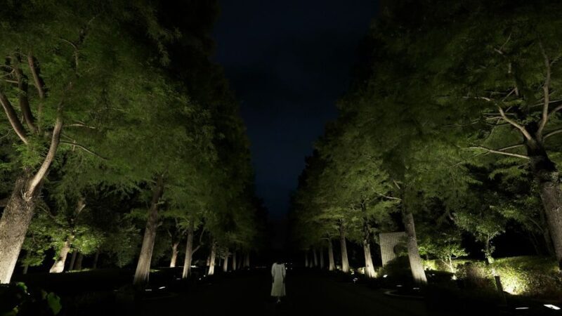 Osaka: teamLab Botanical Garden Entry Ticket - Exploring Osaka’s teamLab Botanical Garden: A Perfect Nighttime Escape
