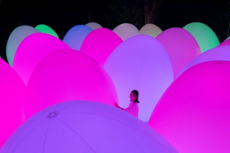 Osaka: teamLab Botanical Garden Entry Ticket - Arrival and Entry Experience